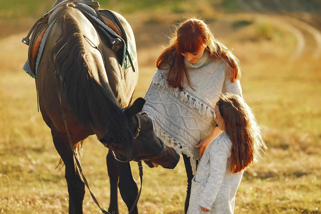 The Various Benefits Of Equine-Assisted Therapy For Autism